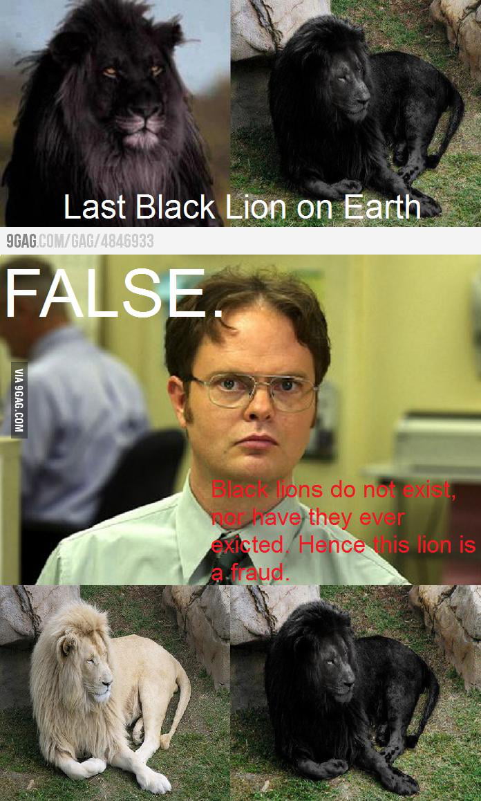 Fraud Black Lion - 9GAG
