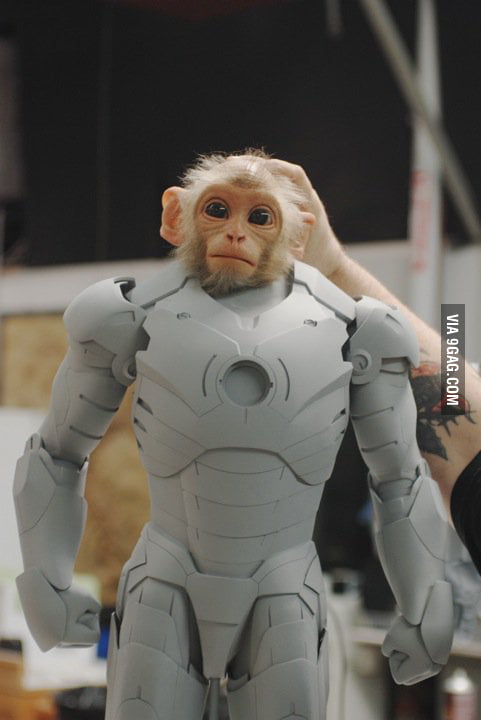 Iron Monkey! - 9GAG
