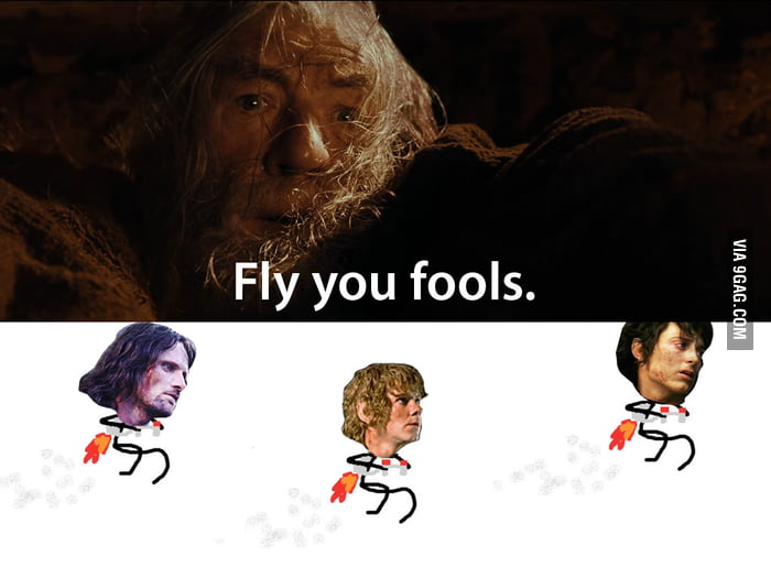 Fly you fools. - 9GAG