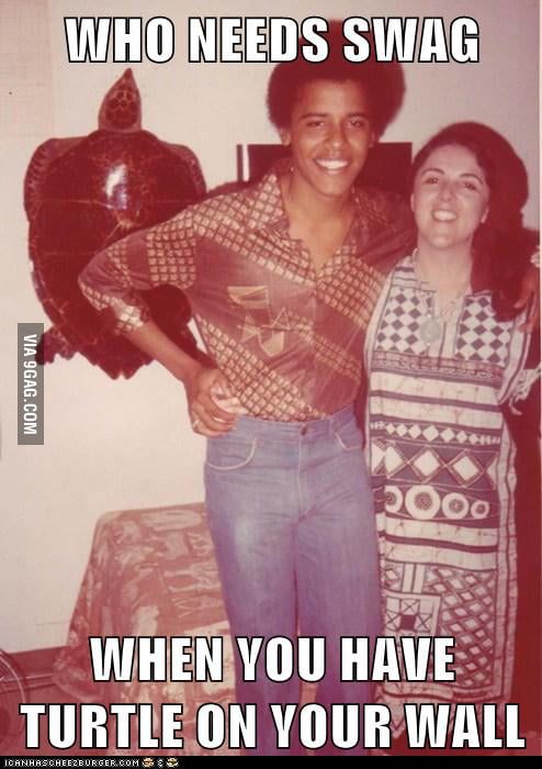 I like turtle - 9GAG