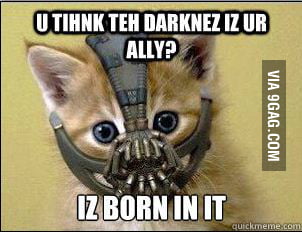 Bane Kitty - 9GAG