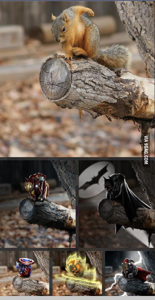 Epic squirrel is epic! - 9GAG