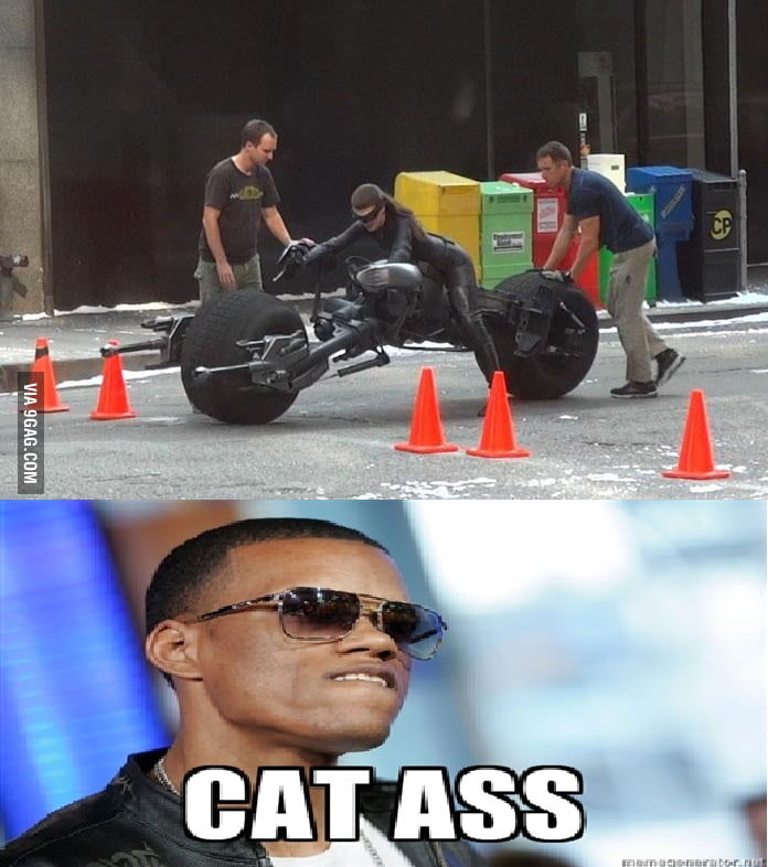 Cat Ass - 9GAG