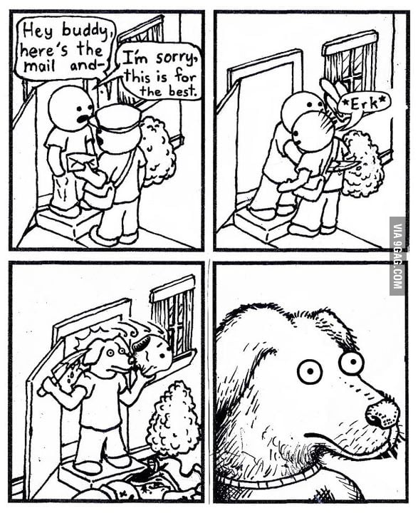 Psycho dog is psycho - 9GAG
