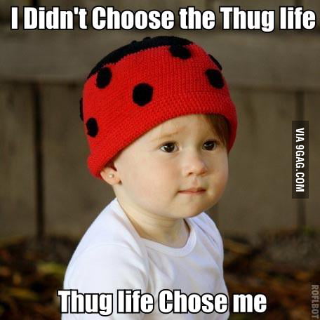 Thug life is Hard.. - 9GAG