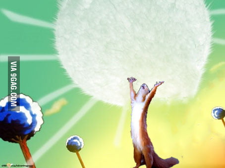 Super Squirrel Bomb - 9GAG