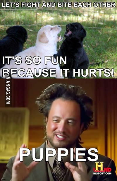 Puppy Logic - 9GAG