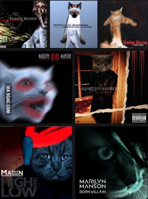 If Marilyn Manson would be a cat... - 9GAG