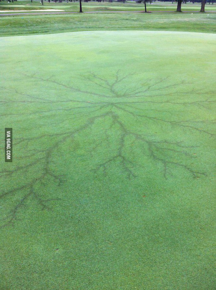 Lightning struck the green of a golf course - 9GAG