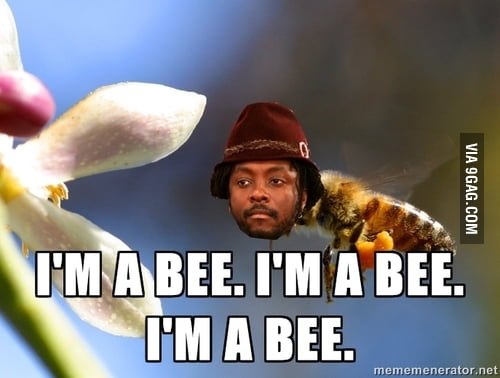I'm a bee. - 9GAG