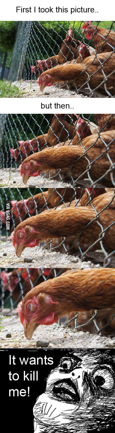 Creepy chicken - 9GAG