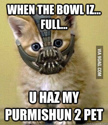 Bane Kitty strikes again... - 9GAG
