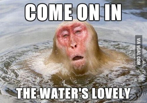 Wtf monkey - 9GAG