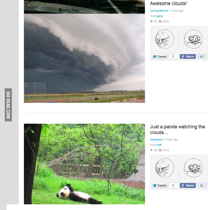 Nice timing, as always. - 9GAG