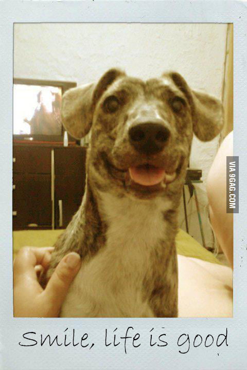 Smile, life is good :) - 9GAG