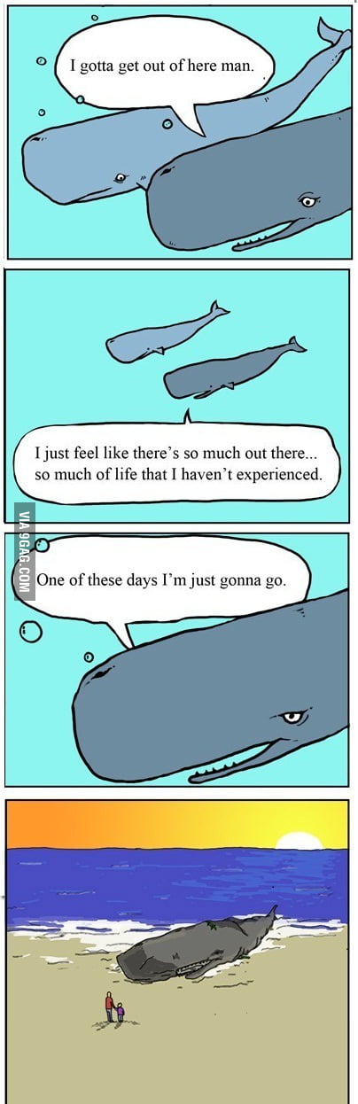 The Truth About Ambition - 9GAG