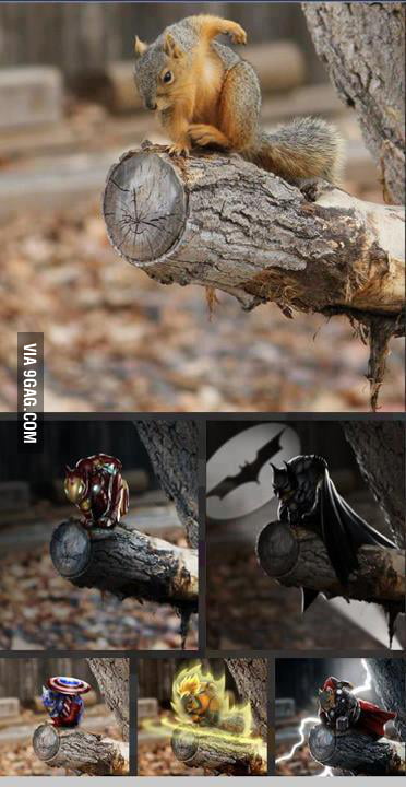 Super-Squirrel! - 9GAG