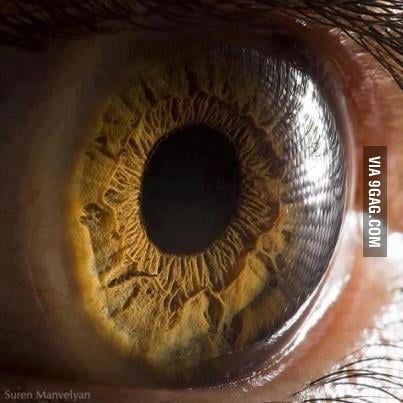 Zoomed Human Eye - 9GAG