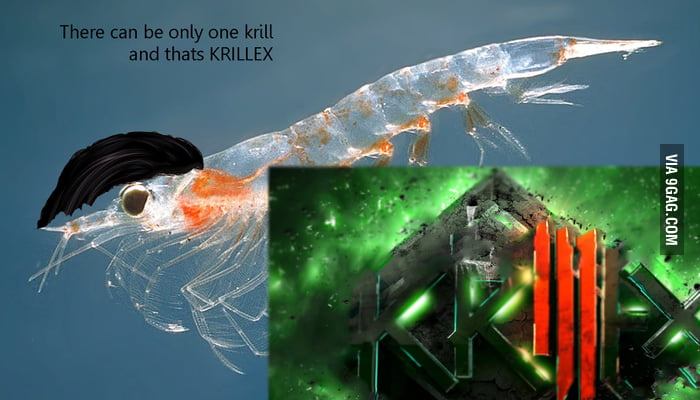 KRILLEX! - 9GAG