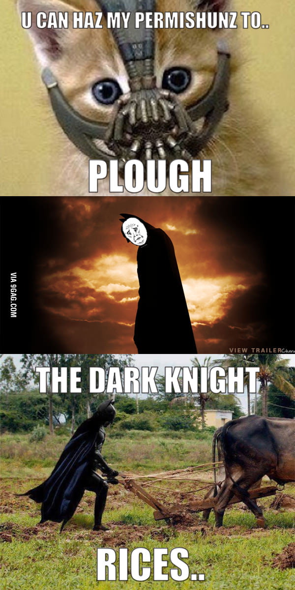 Bane Kitty: U CAN HAZ MY PERMISHUNZ TO.. - 9GAG