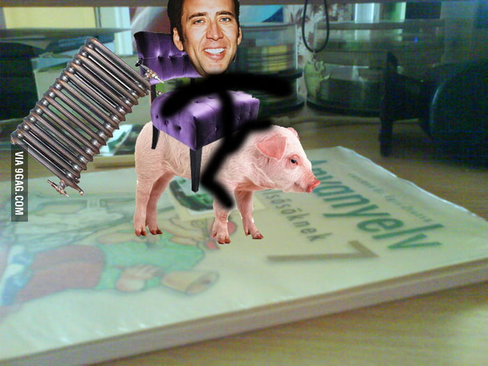 Okay...this is interesting... - 9GAG