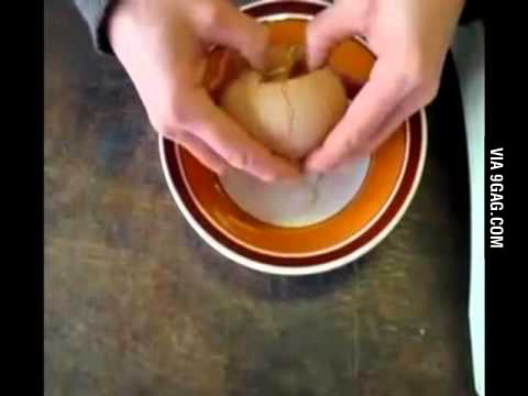 Eggception - 9GAG