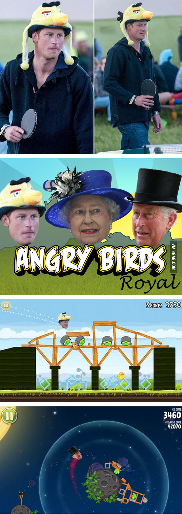Royal Angry Birds - 9GAG