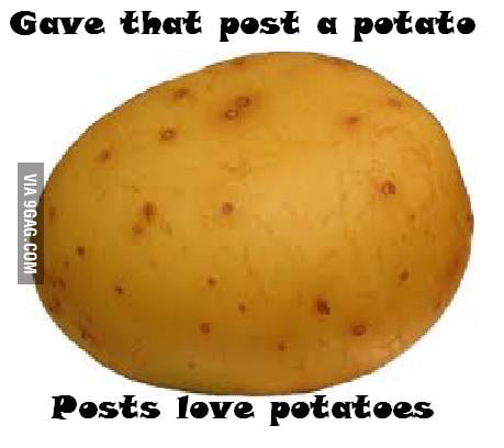 Posts Love Potatos - 9GAG