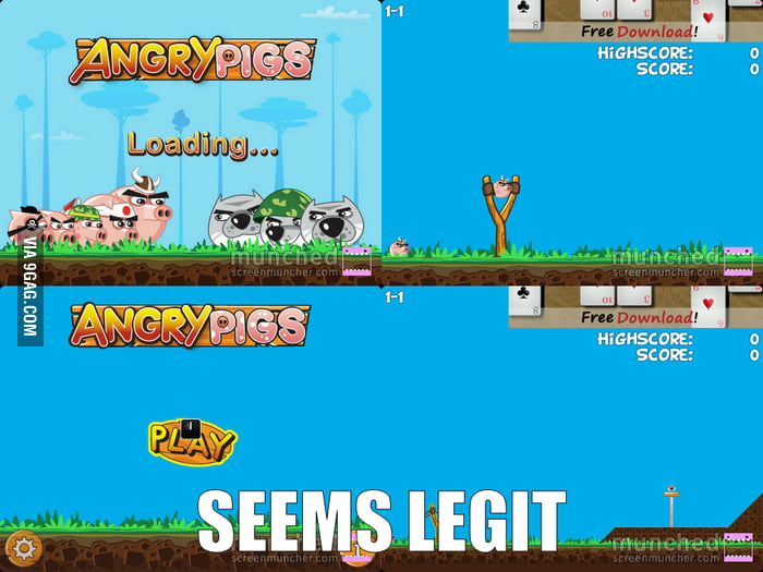 Angry pigs, Blackberry users will know... - 9GAG