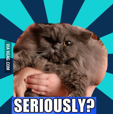 Seriously Cat - 9GAG