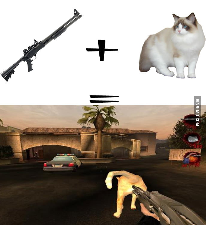 Shotgun + Cat = MEOW GUN - 9GAG