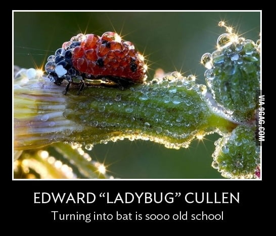 Edward "Ladybug" Cullen - 9GAG