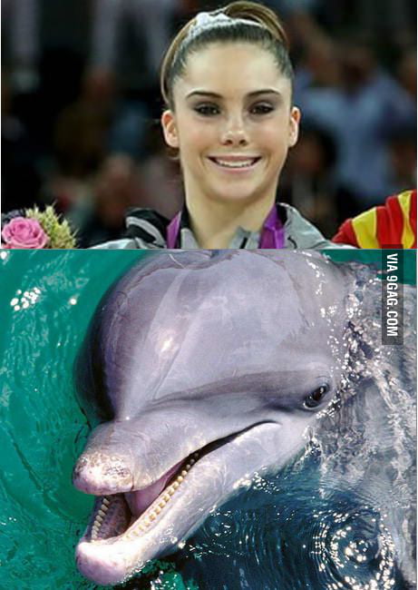 Dolphins! - 9GAG