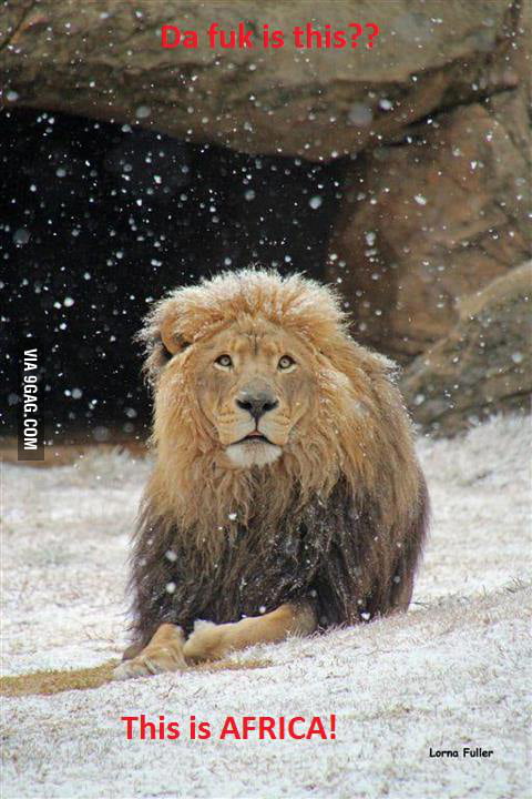 Da fuk?? snow in africa... - 9GAG