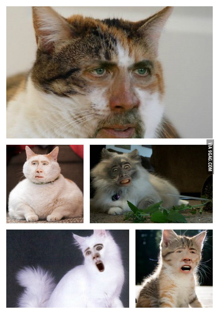 Nicolas Cage as Cats - 9GAG
