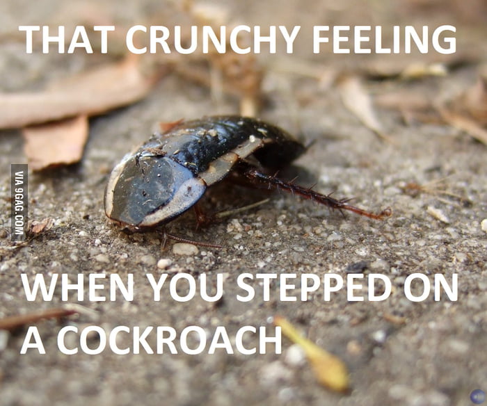 That crunchy feeling.. eeewww - 9GAG