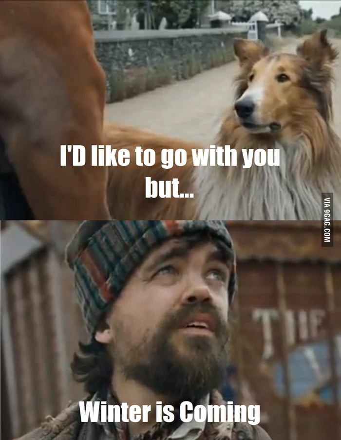 Lassie 2005 9gag
