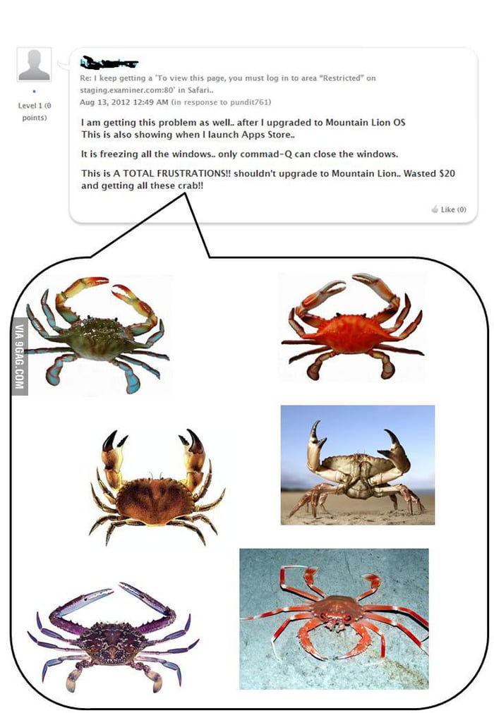 What? CRAB? - 9GAG