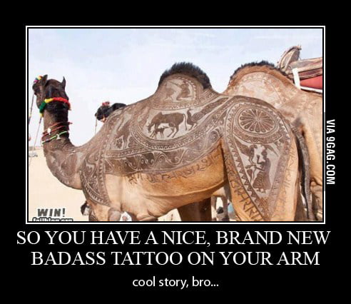 Hardcore Camel is a good listener... - 9GAG
