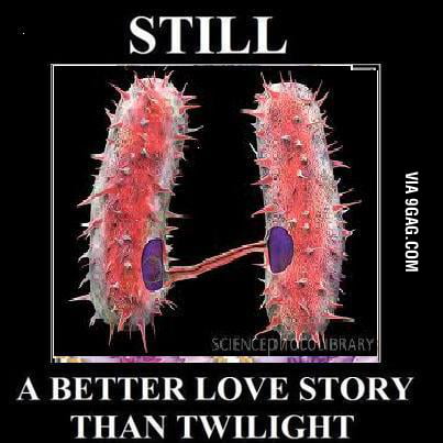 A bacterial love story - 9GAG