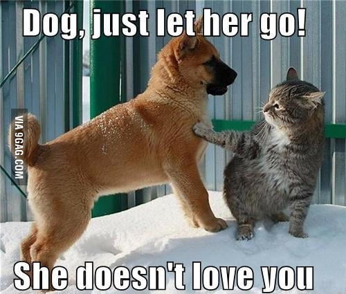 Get over it... - 9GAG