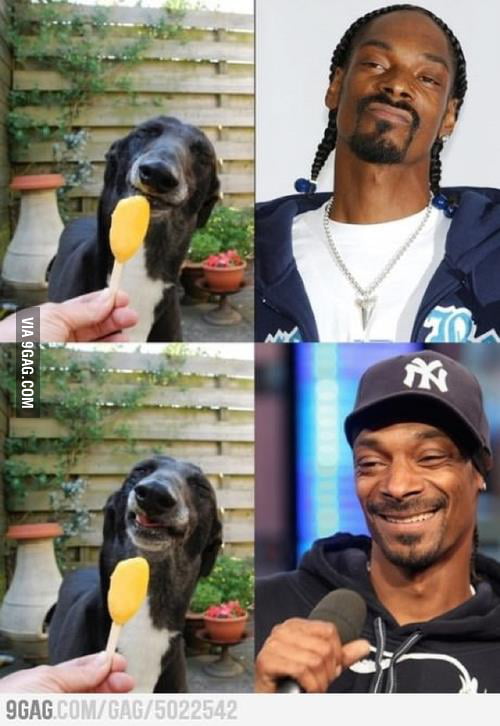 Find the difference - 9GAG