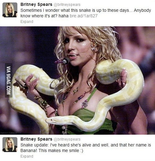 Britney Spears and Snake - 9GAG