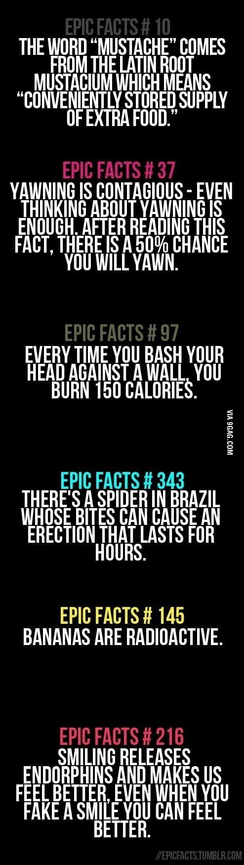 Best Epic Facts - 9GAG