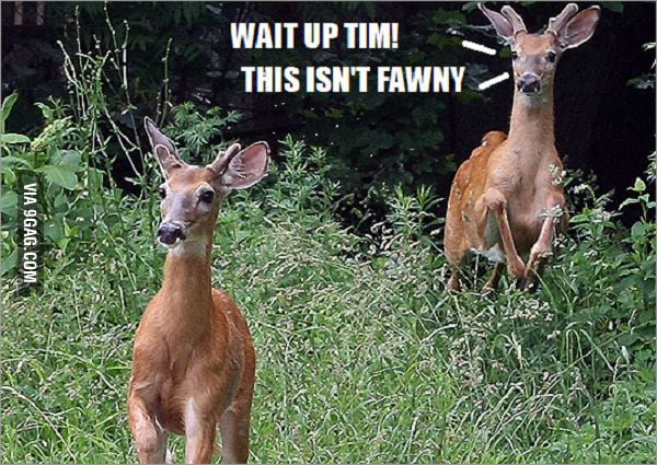 TIM come back!!! - 9GAG