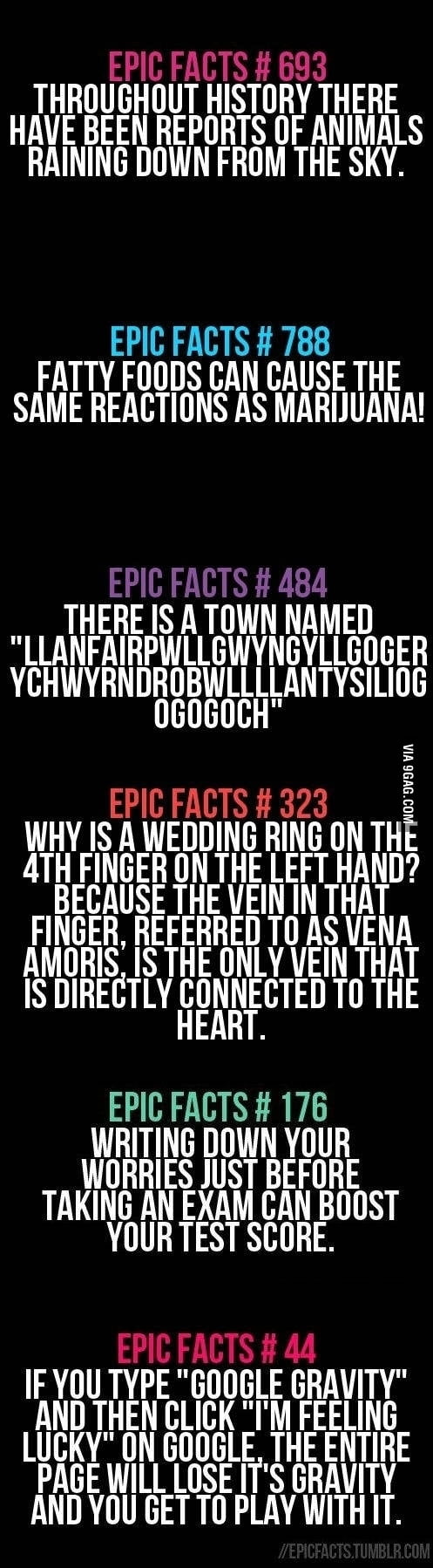 Best Epic Facts #2 - 9GAG