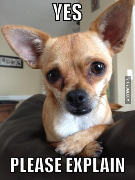 Yes, Please Explain - 9GAG