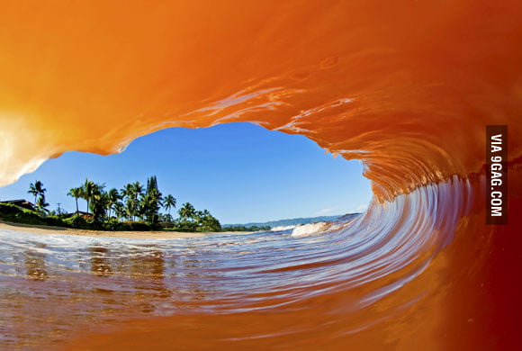 Is this real life ? Or just a fanta sea? - 9GAG