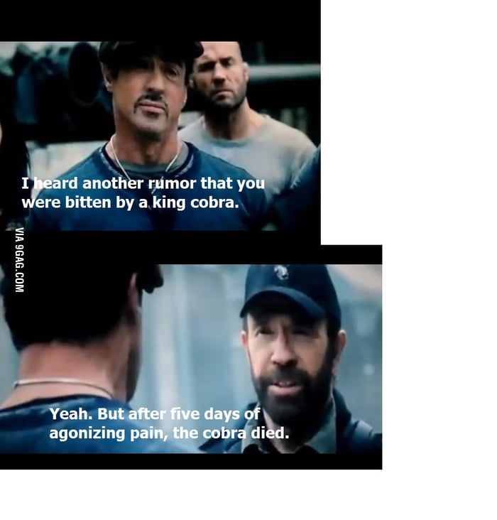 Awesome chuck norris is awesome - 9GAG