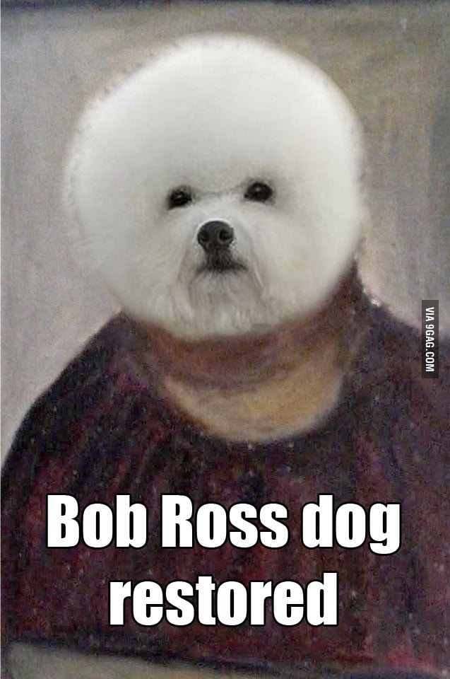 Bob Ross dog restored - 9GAG